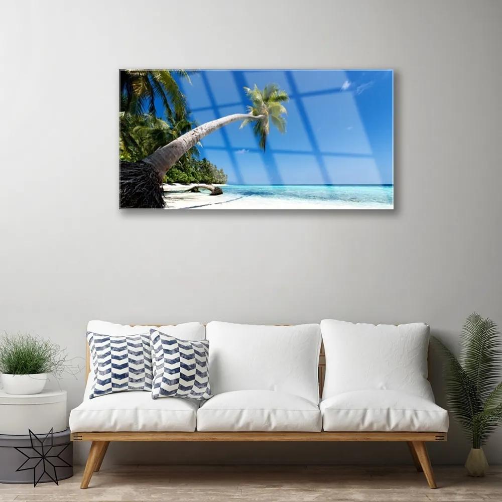 Obraz na skle Pláž Palma Moře Krajina 120x60 cm