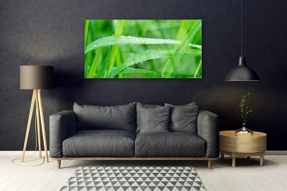 Plexisklo-obraz Listy Kapky Rosy Příroda 120x60 cm