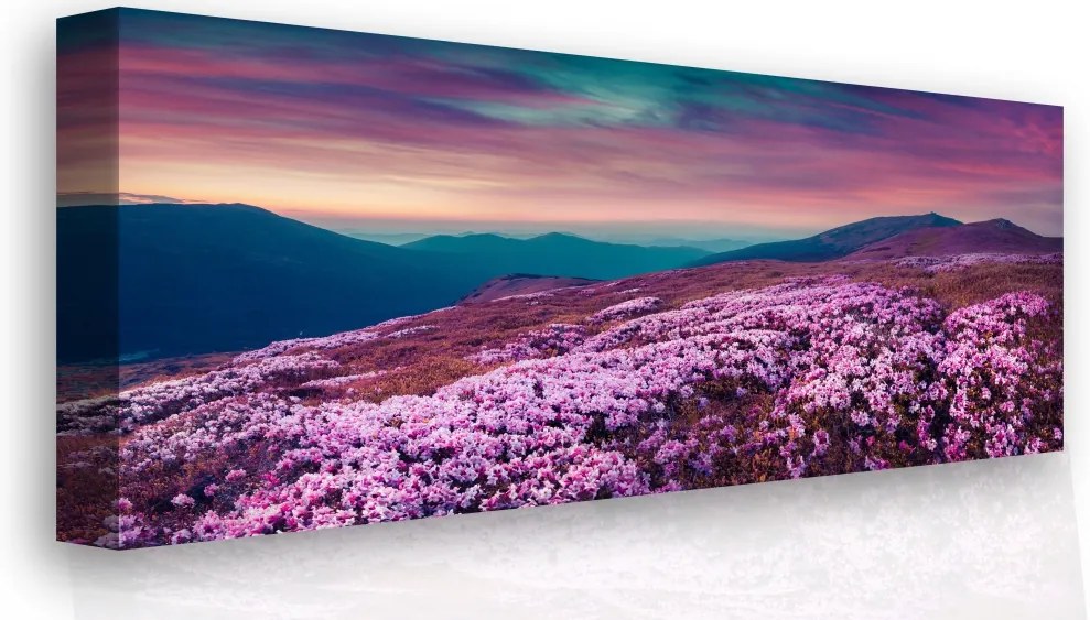 InSmile ® Obraz - fialové mráčky Velikost (šířka x výška): 150x100 cm