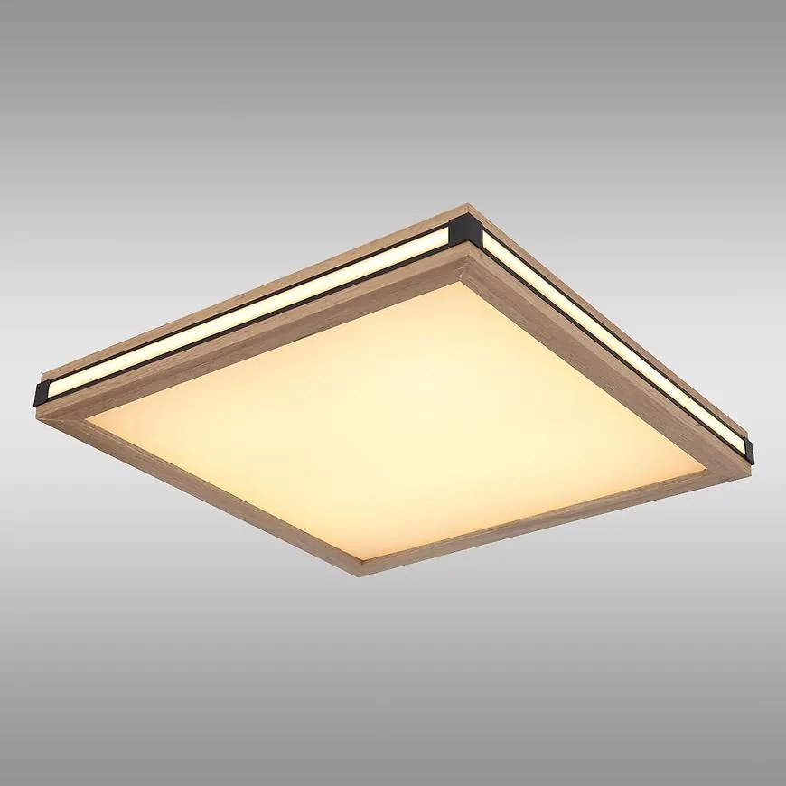 Stropní svítidlo 41589D2 LED PL1
