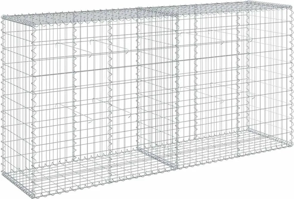 Gabionový koš s víkem 200 x 50 x 100 cm pozinkované železo 3295143