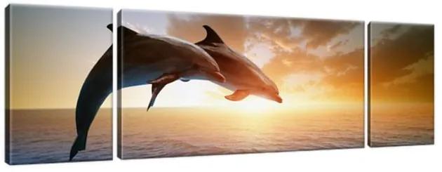 Tištěný obraz Skákající delfíni 170x50cm 1358A_3G
