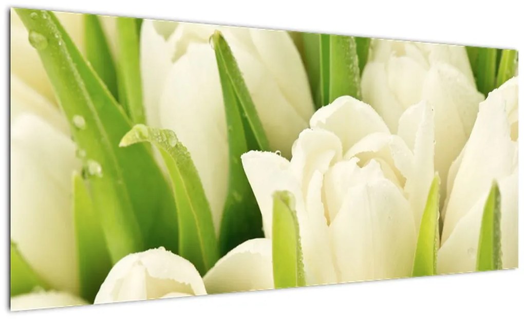 Detail tulipánů - obraz (100x40cm)