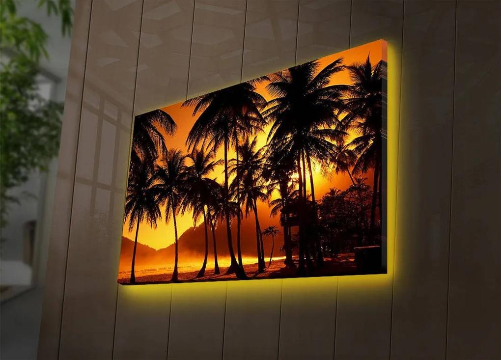 Obraz s LED osvětlením PALMY V ZÁPADU SLUNCE 36 45 x 70 cm
