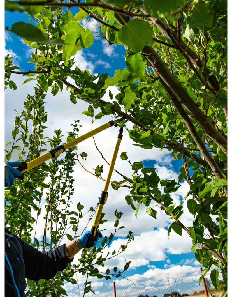 Nůžky na větve teleskopické pákové GEKO, 655-900 mm