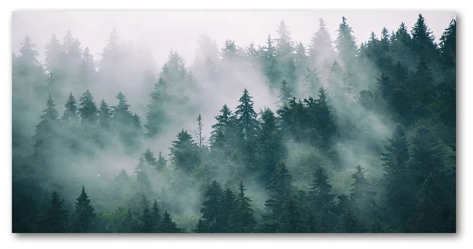 Wallmuralia Foto obraz akrylové sklo Mlha nad lesem 120x60 cm