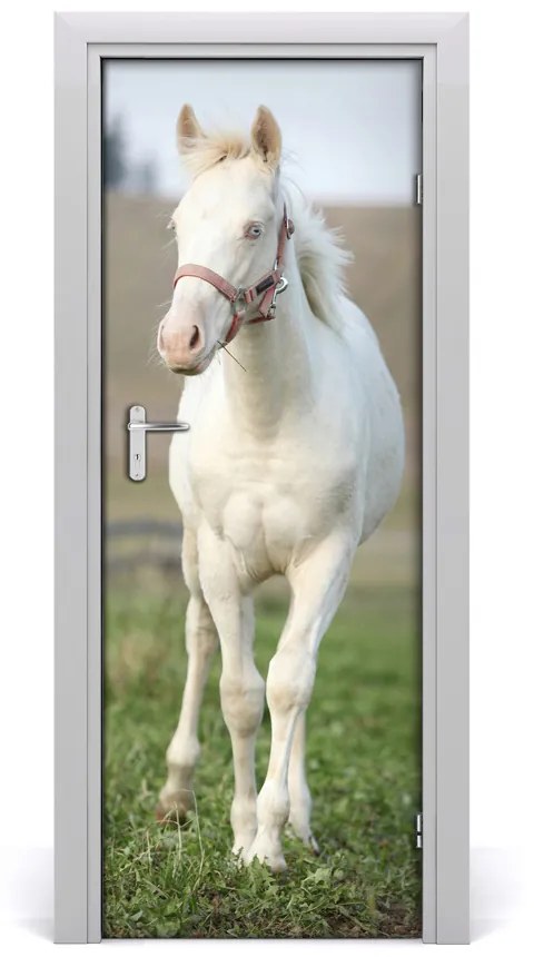 Samolepící fototapeta na dveře Bílý kůň 75x205 cm