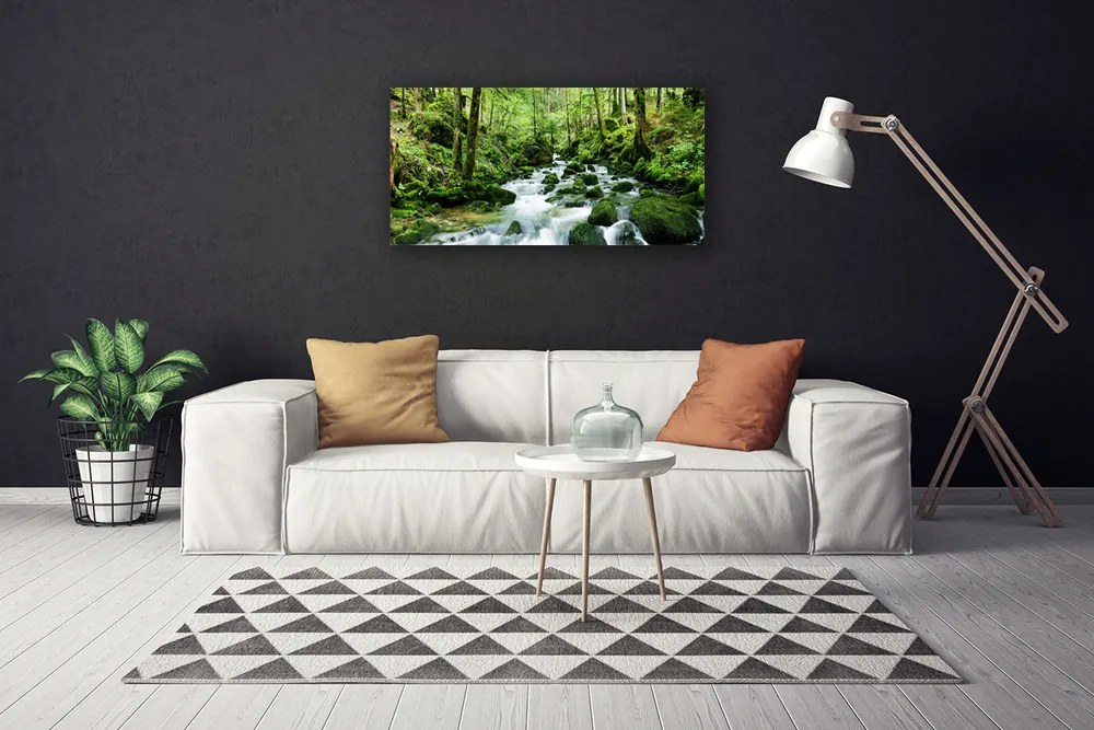 Obraz na plátně Les Potok Vodopády Řeka 140x70 cm
