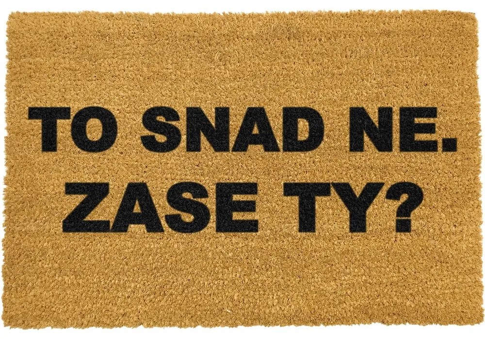 Rohožka z přírodního kokosového vlákna Artsy Doormats Zase ty?, 40 x 60 cm