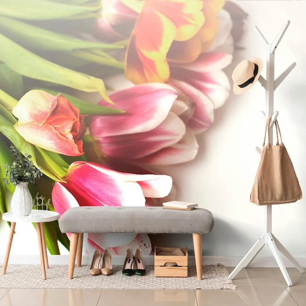 Samolepící fototapeta kytice tulipánů - 150x100 cm