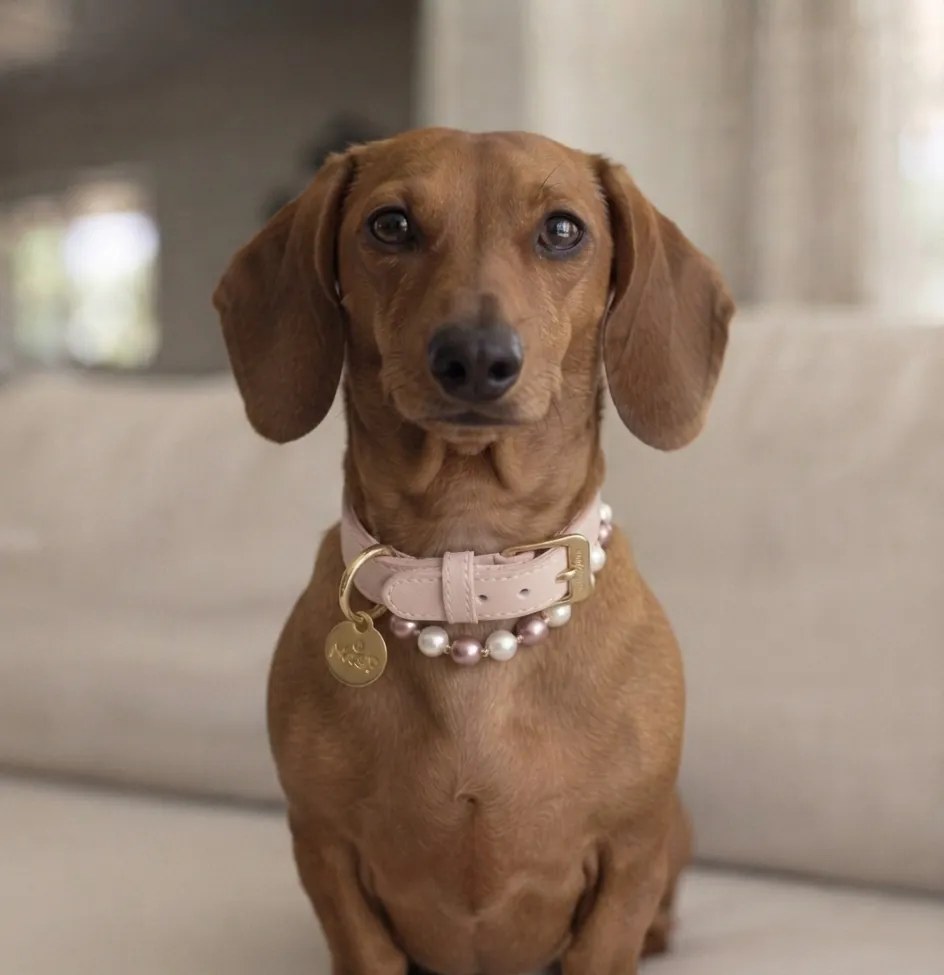 Pet Amour PA náhrdelník pro psy z perel růžový Velikost: S