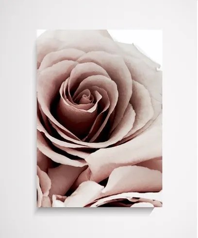 Yorkelee Plakát The Bloom 40x50cm