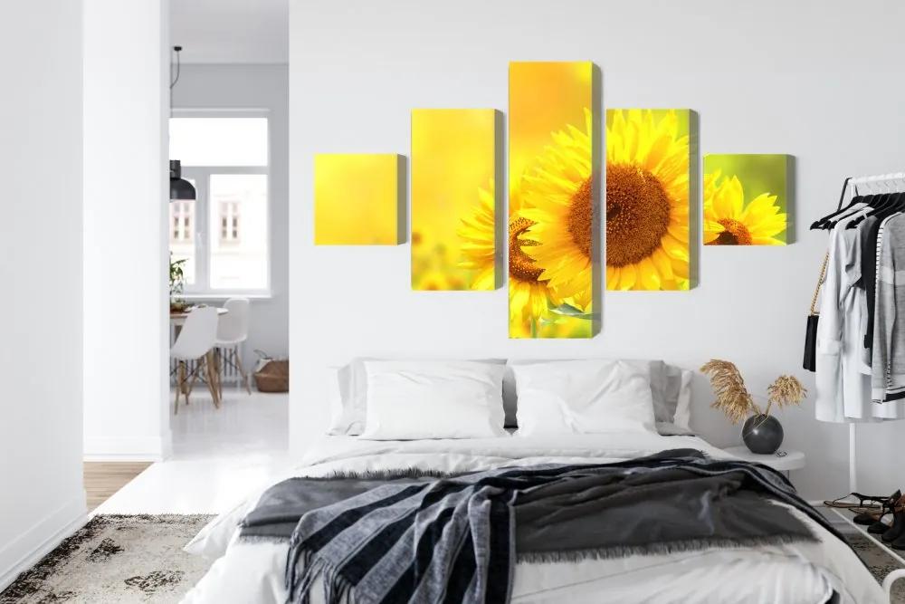 Vícedílný obraz Kvetoucí Slunečnice 3D Nedostatek Nedostatek Plátno Canvas 150x90
