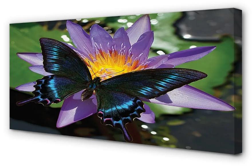 Obrazy na plátně motýl květina 125x50 cm