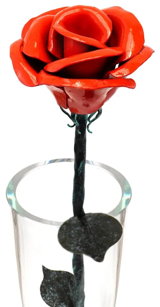 Radotínská růže - červená - M (délka 40 - 49 cm)