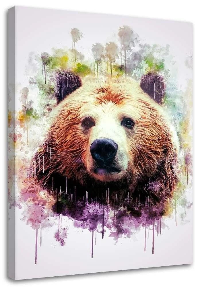 Gario Obraz na plátně Barevná hlava medvěda - Cornel Vlad Rozměry: 40 x 60 cm