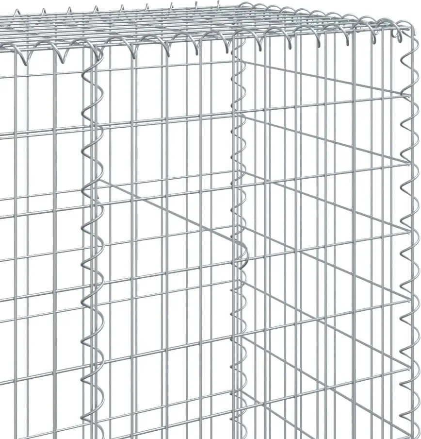 Gabionový koš s víkem 200 x 50 x 200 cm pozinkované železo 3295167