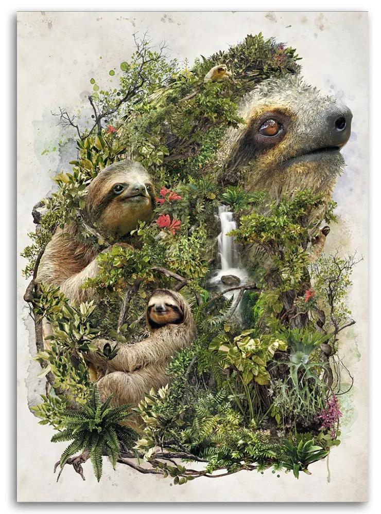 Gario Obraz na plátně Lenochod v lese - Barrett Biggers Rozměry: 40 x 60 cm