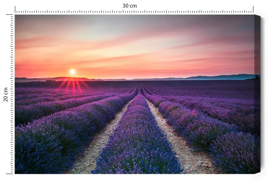Obraz Levandulové Pole Při Západu Slunce Nedostatek Nedostatek Přírodní plátno 90x60