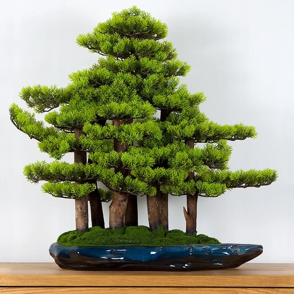 Pokojová dekorativní bonsai borovicový les (PN-74)
