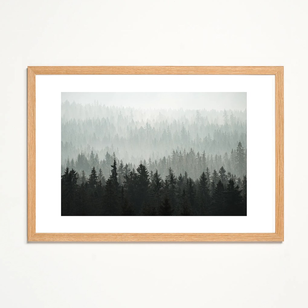 Kristýna Mládková | Šumavské lesy Rám: Bílý, Velikost: 20 x 30 cm