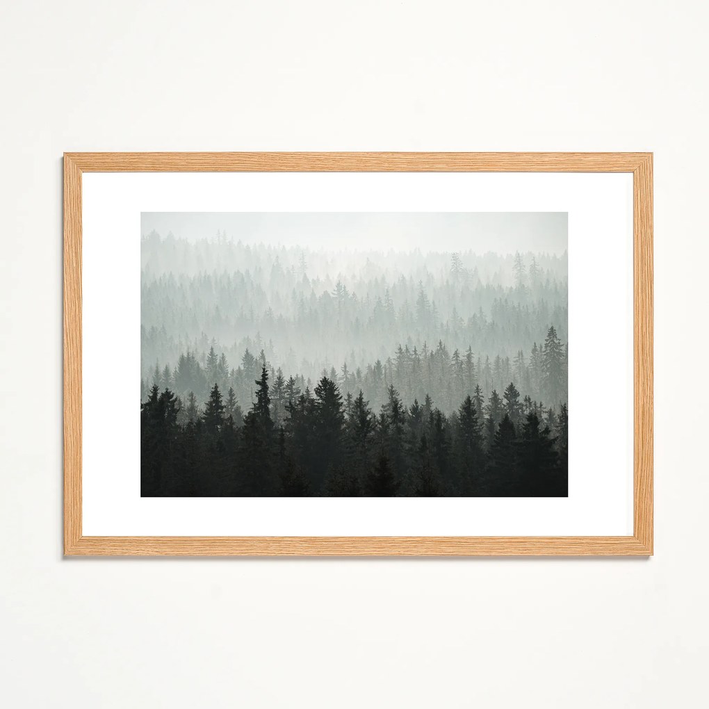 Kristýna Mládková | Šumavské lesy Rám: Bílý, Velikost: 40 x 60 cm