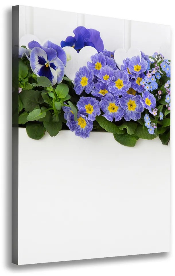 Wallmuralia Foto obraz na plátně Fialové květiny 70x100 cm