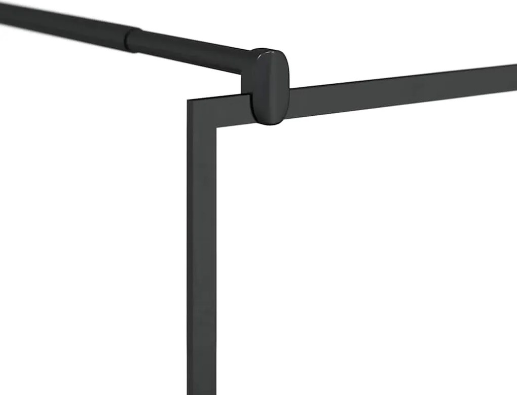 Zástěna do průchozí sprchy čiré ESG sklo 80 x 195 cm černá 150752