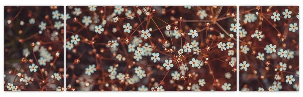 Obraz květiny Pomněnka lesní (170x50 cm)