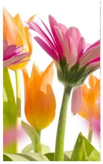 DIMEX | Vliesová fototapeta na zeď Jarní květiny MS-2-0142  | 150 x 250 cm | bílá, růžová, žlutá, zelená
