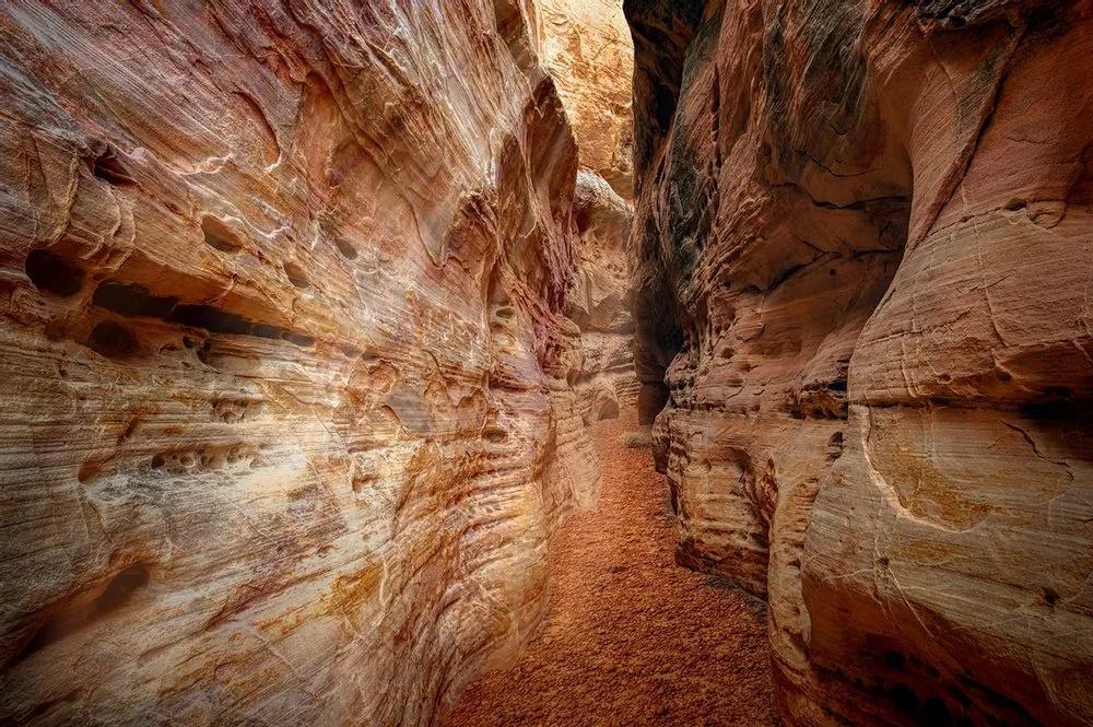 Fototapeta cestička Grand Canyonem - 150x100 cm
