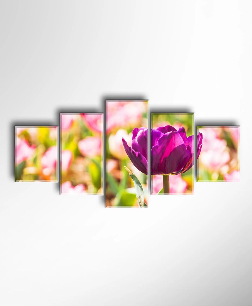 Malvis ® Obraz Pestrý tulipán ROZMĚR (šířka x výška): pětidílný obdélník 150x60 cm
