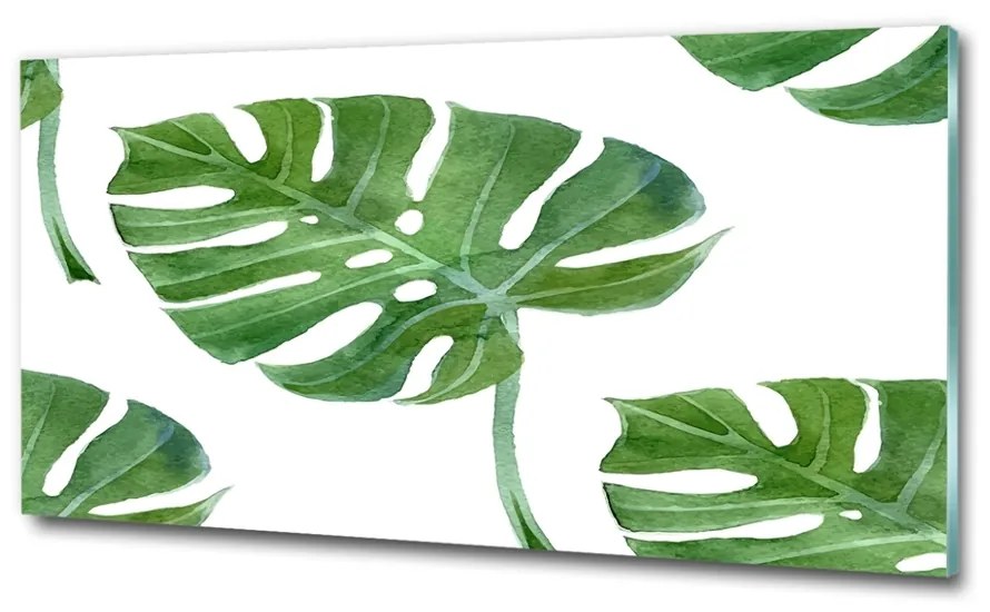 Wallmuralia Fotoobraz na skle Monstera 100x50