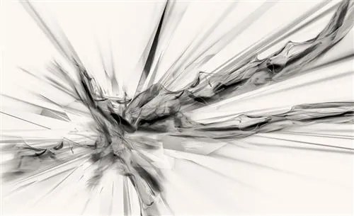 Vliesové fototapety, rozměr 208 cm x 146 cm, abstrakce černo-bílá, IMPOL TRADE 3540 VEXL