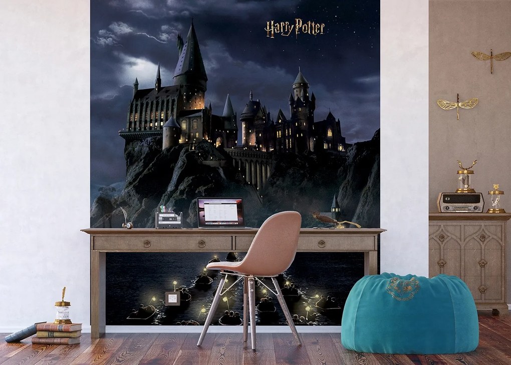 Dětská vliesová fototapeta na zed' Harry Potter | 225 x 270 cm | DFTD3P5175