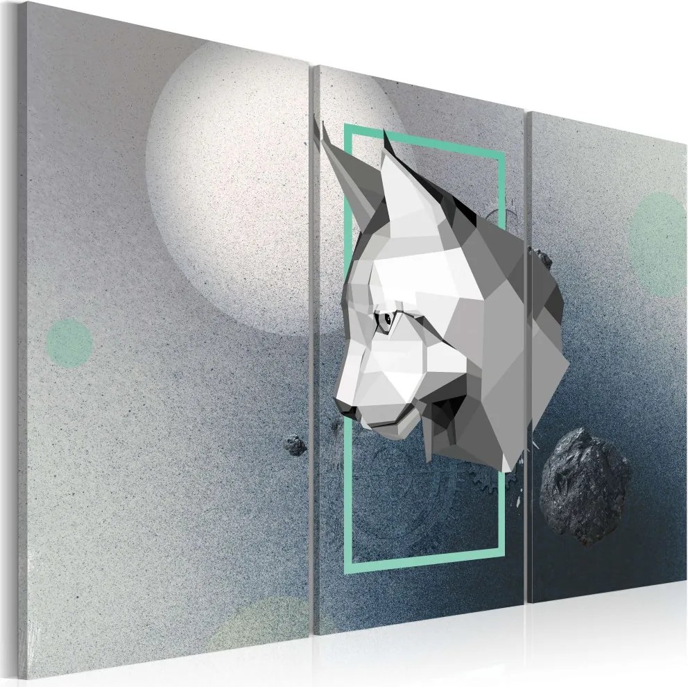 Obraz na plátně Bimago - zvíře - 3D - triptych 60x40 cm