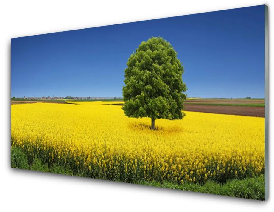 Obraz na skle Louka Strom Příroda Pole 100x50 cm