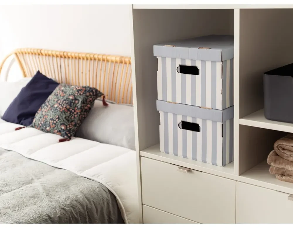 Kartonové úložné boxy s víkem v sadě 2 ks Stripes – Compactor | BIANO