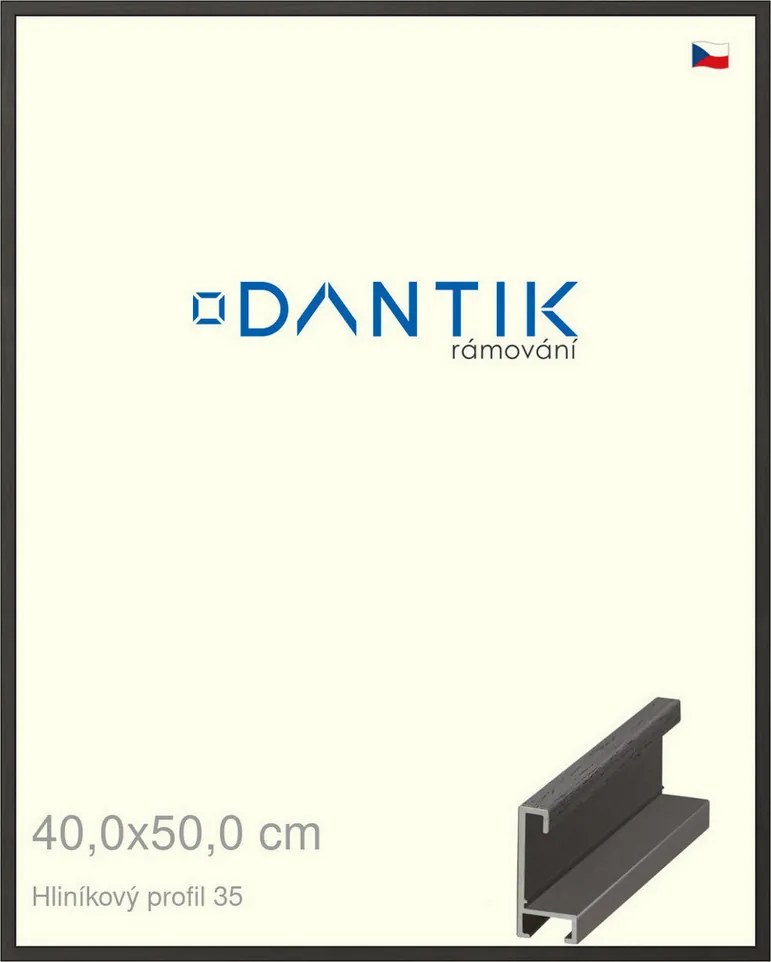 DANTIK rámeček 40x50 | ALU profil 6035 Dýha černá (Sklo Čiré)
