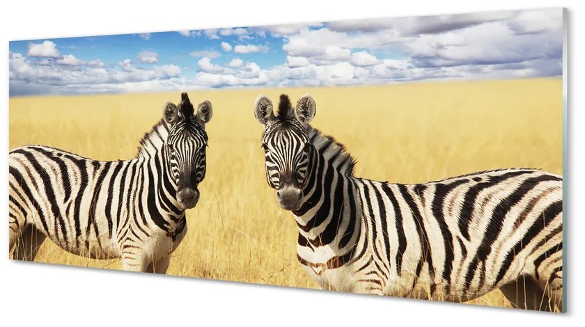 akrylový obraz zebra box 120x60 cm