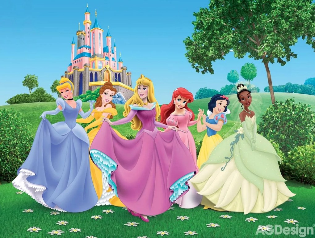 Dětská fototapeta creative collection papírová FTDXXL 0249 Disney princezny  360x255cm - 4 dílná