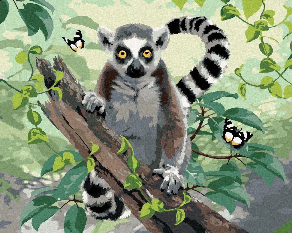 zuty malování podle čísel - lemur a motýli (howard robinson), 80x100 cm, bez rámu a bez vypnutí plátna