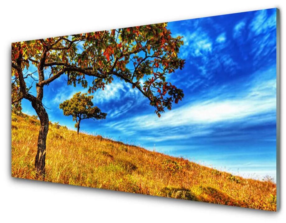 Plexisklo-obraz Louka Strom Příroda 120x60 cm