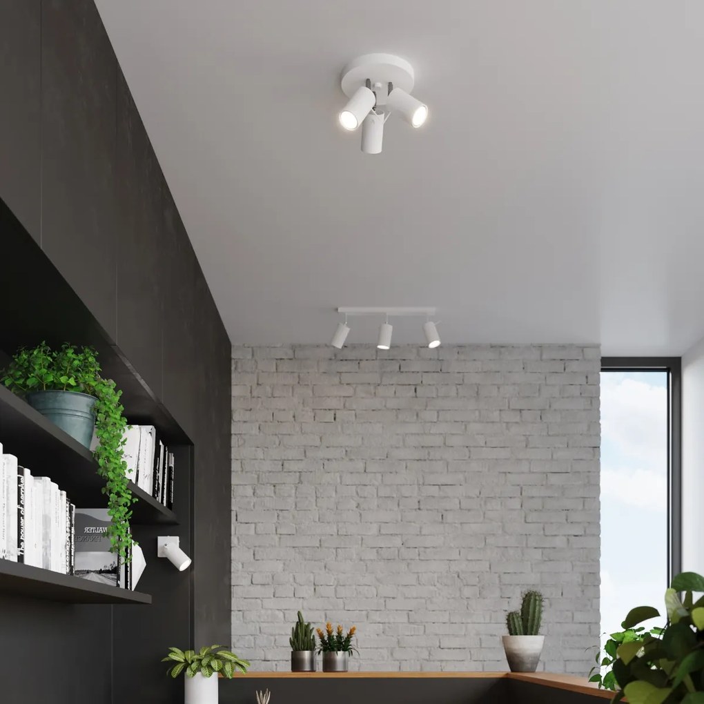 Sollux Lighting Stropní svítidlo RING 3P bílé