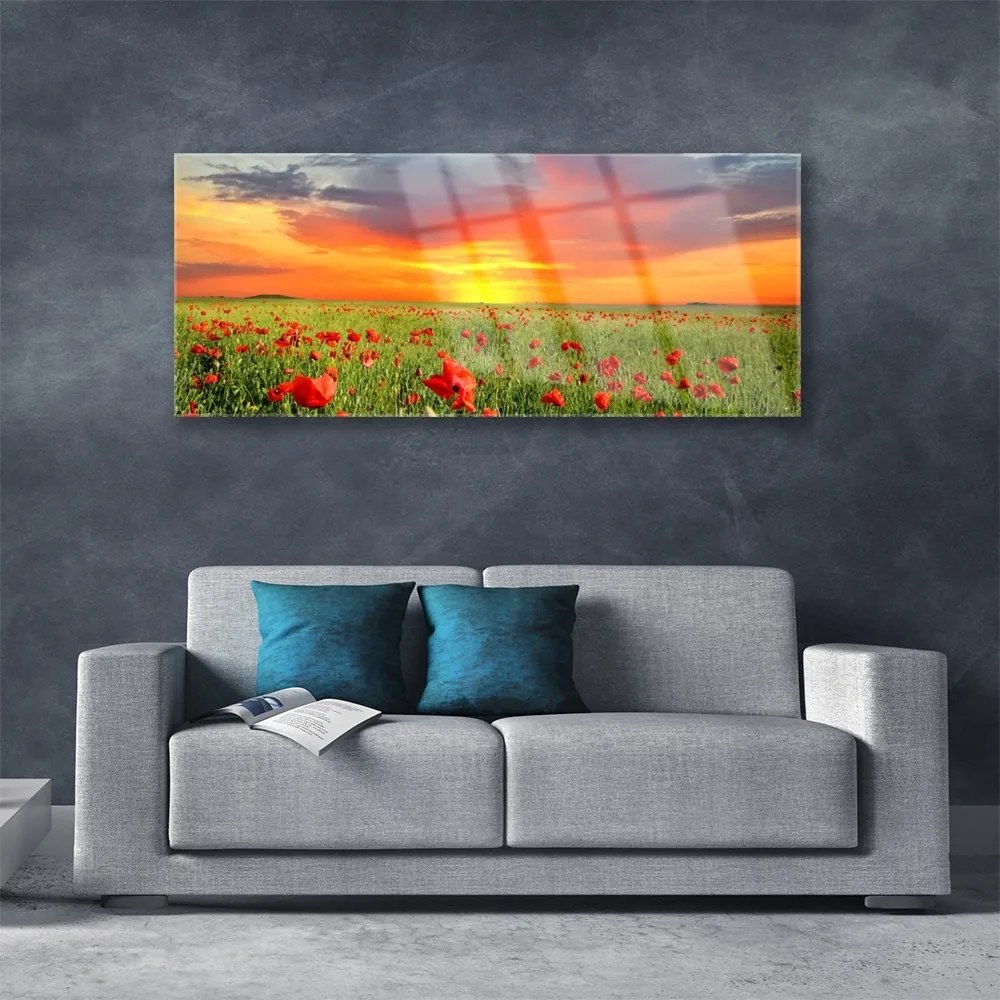 akrylový obraz Máky Slunce Rostlina Příroda 125x50 cm