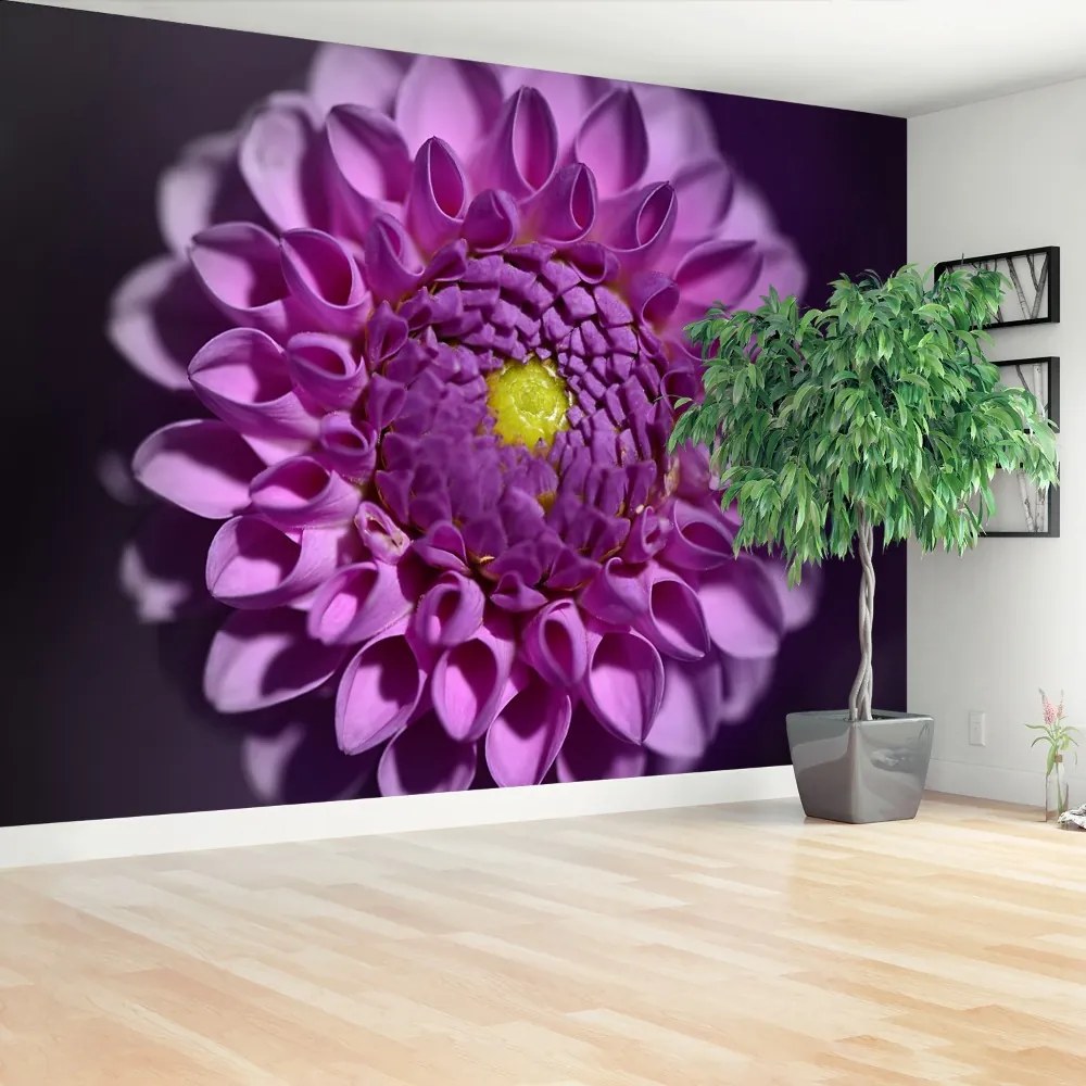 Fototapeta Dahlia růžová 104x70