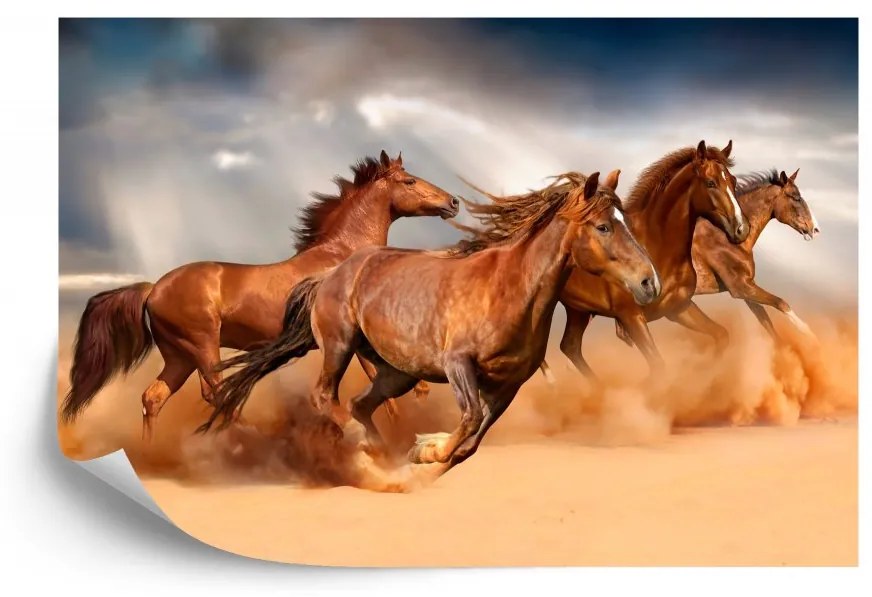 Fototapeta Koně Běžící V Poušti Omyvatelný vlies 90x60