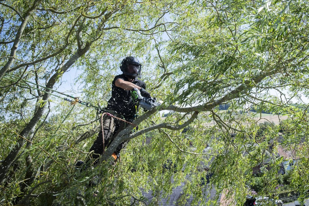 EGO AKU jednoruční řetězová pila CS1200E (pouze stroj) 30 cm