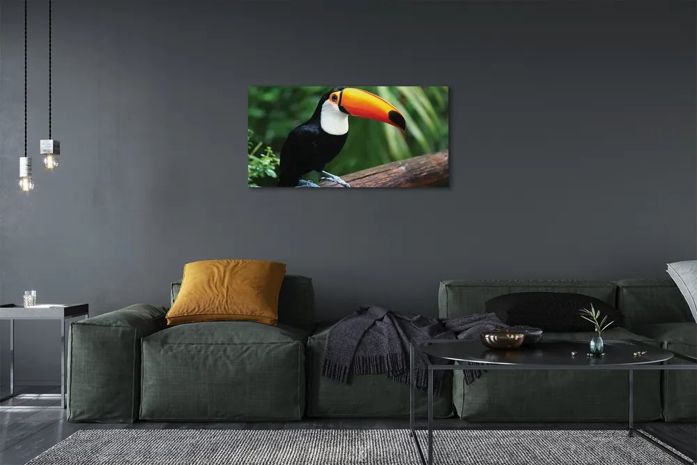 Obrazy na plátně Tukan na větvi 120x60 cm