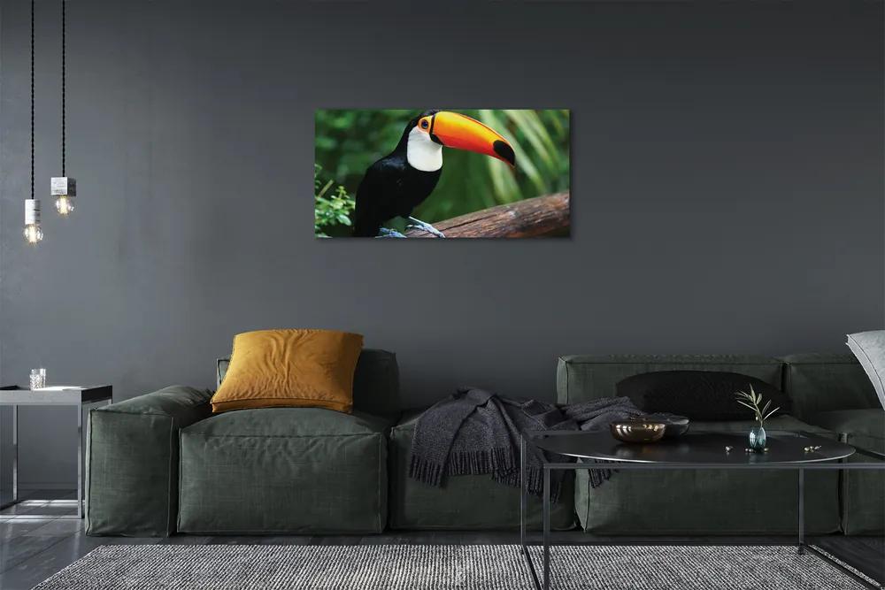 Obrazy na plátně Tukan na větvi 140x70 cm